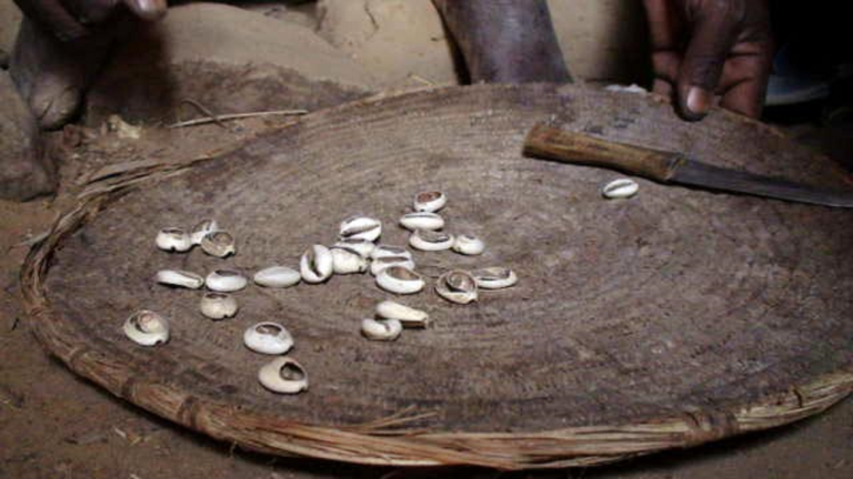 The History of Cowries; the Past and Present | Naijabiography