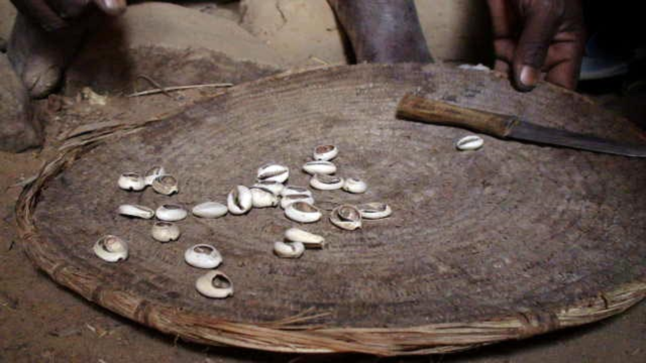The History of Cowries; the Past and Present | Naijabiography