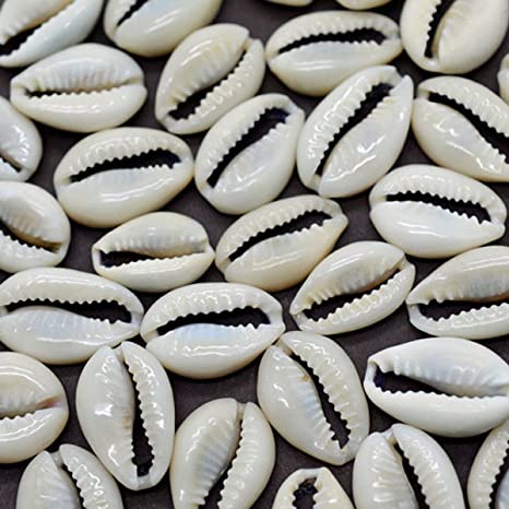 The History of Cowries; the Past and Present | Naijabiography