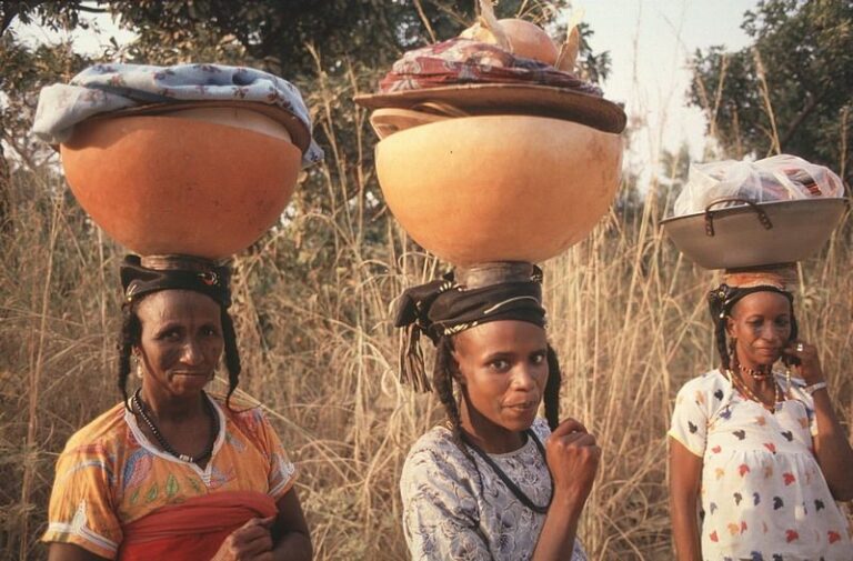 History of Taraba State | Culture | Economy | Naijabiography