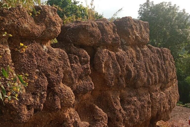 The History of the Seven Ibarapa | Culture | Naijabiography