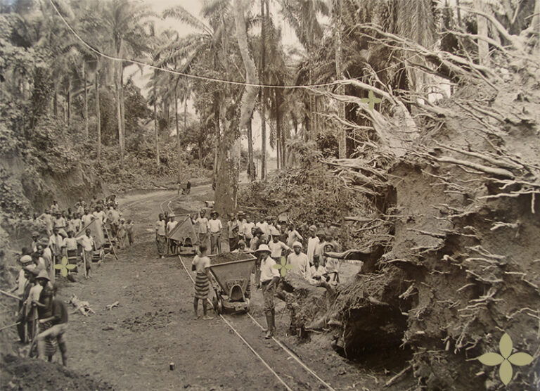 History of Owerri | Culture | Economy | Politics | Naijabiography